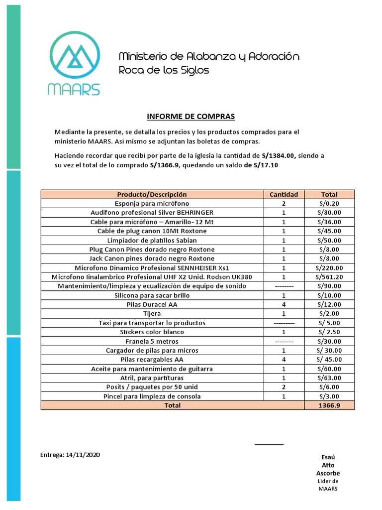 Informe De Compras Maars Pdf