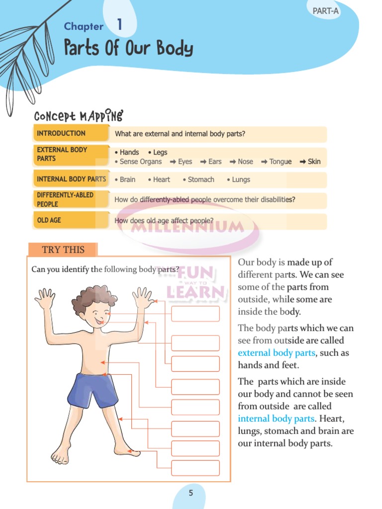 Parts of Our Body: Concept Mapping | PDF | Human Body | Senses