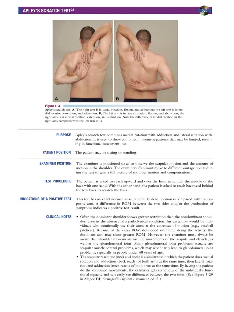 Shoulder Musculoskeletal Tests | PDF