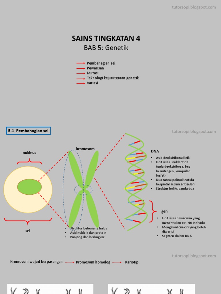 Sains Bab 5 T4 KSSM Cikgu Sopi? | PDF