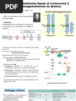 Clasificación de Forrest | PDF | Gastroenterología | Procedimientos médicos