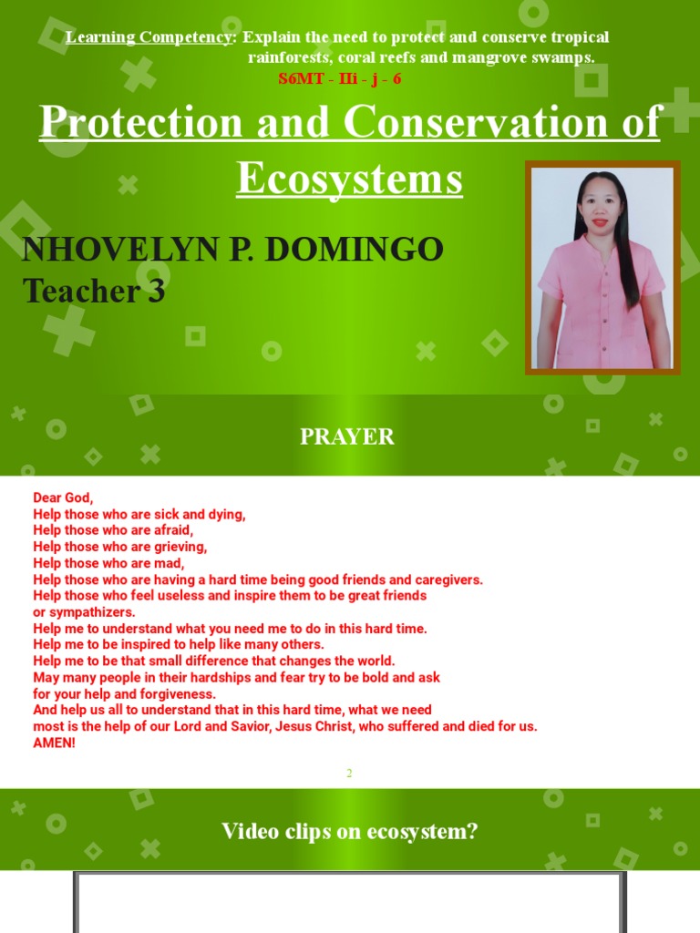 CO1-SCIENCE 6-Protection and Conservation of Ecosystem | PDF | Mangrove ...