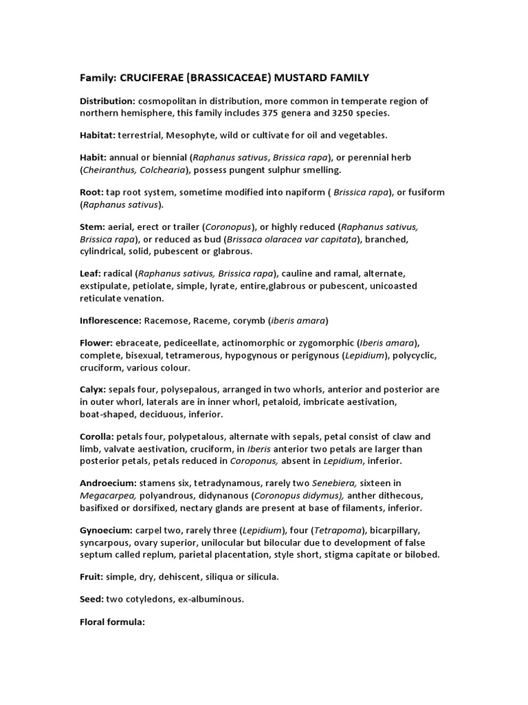 Family: Cruciferae (Brassicaceae) Mustard Family | PDF | Petal | Plant ...