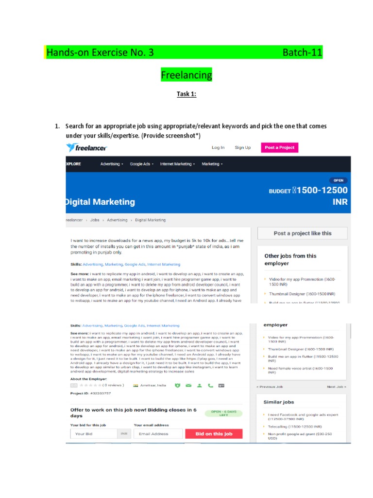 Freelancing Hand On Exercise 3 | PDF