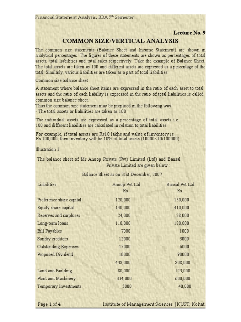 Common Size/Vertical Analysis: Lecture No. 9 | PDF | Balance Sheet ...