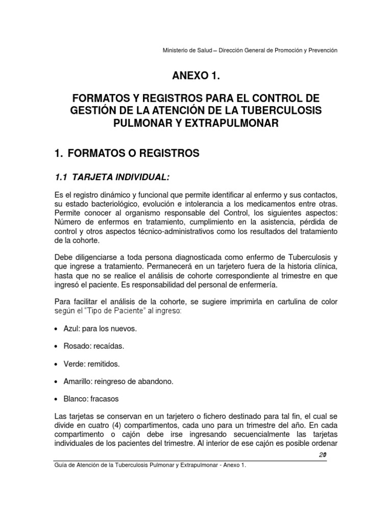 Formatos y Registros en TBC | PDF | Tuberculosis | Diagnostico medico
