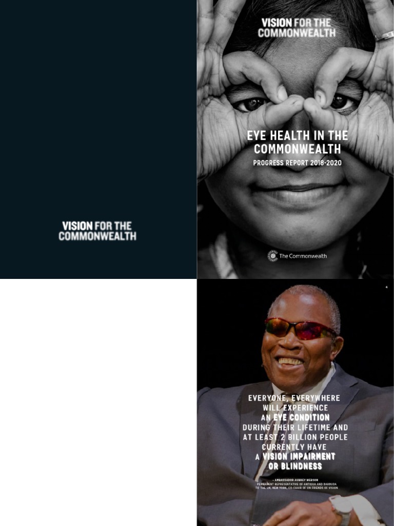 Eye Health in The Commonwealth - Progress Report 2018 To 2020 | PDF ...
