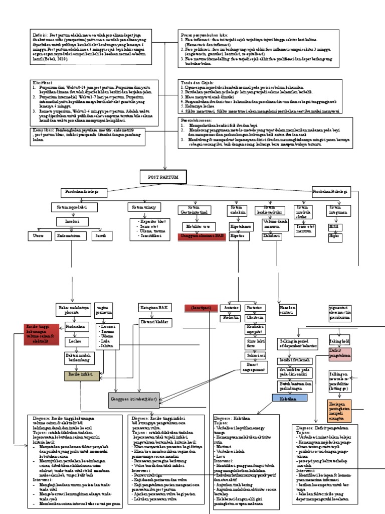 Woc Post Natal | PDF