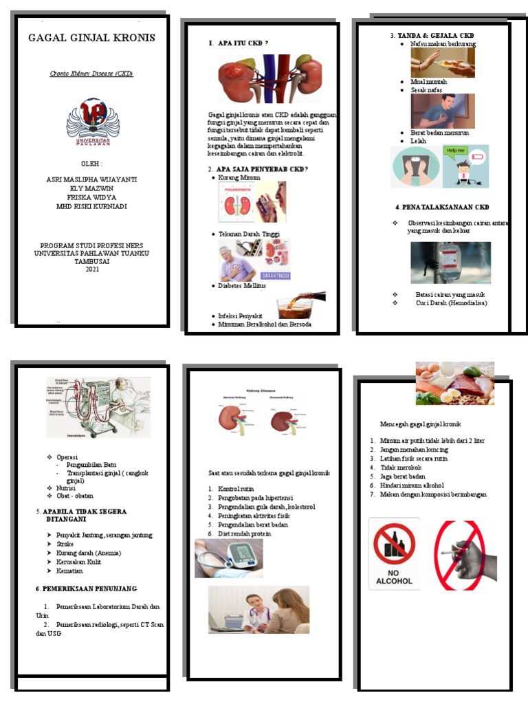 Leaflet CKD | PDF