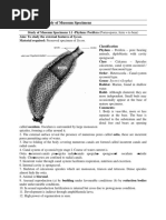 Water Vascular System of Asterias | PDF | Anatomy | Animal Anatomy