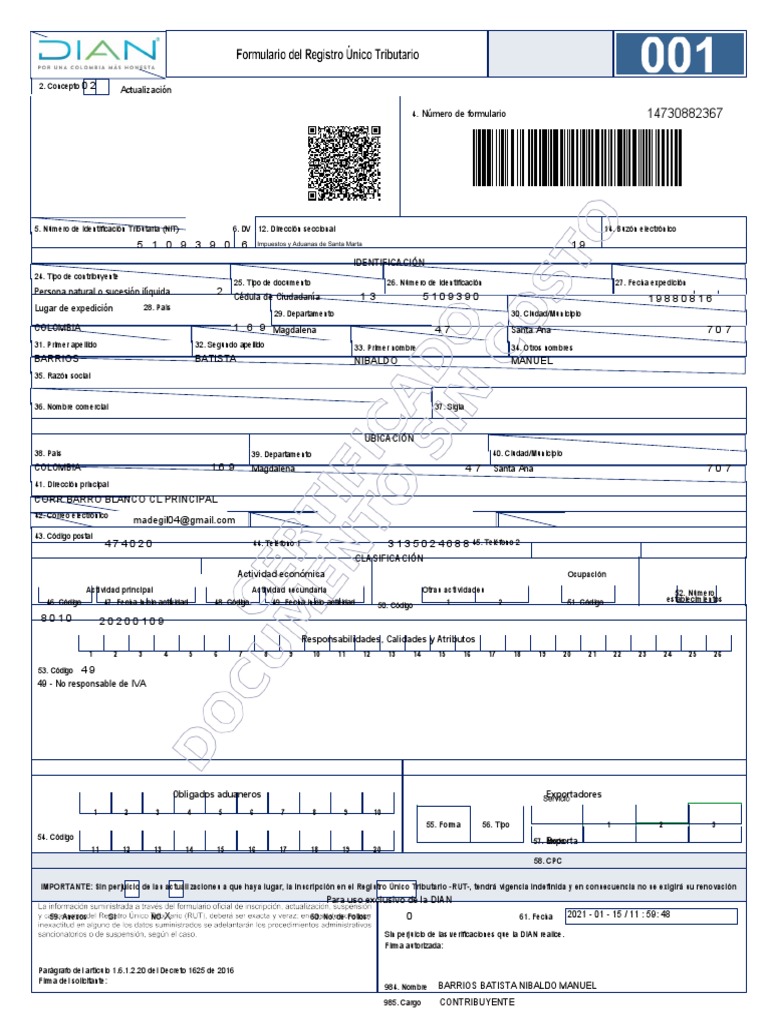 Formato Rut - 2021 | PDF