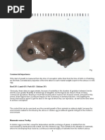 Estimating Height From Ulna Length Instructions and Tables | PDF ...