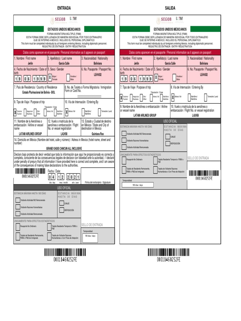Forma Migratoria 00011460252FE | PDF | Visa de viaje | Seguridad nacional