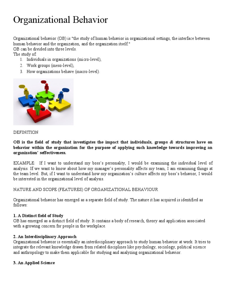 Understanding Organizational Behavior | PDF | Psychology ...
