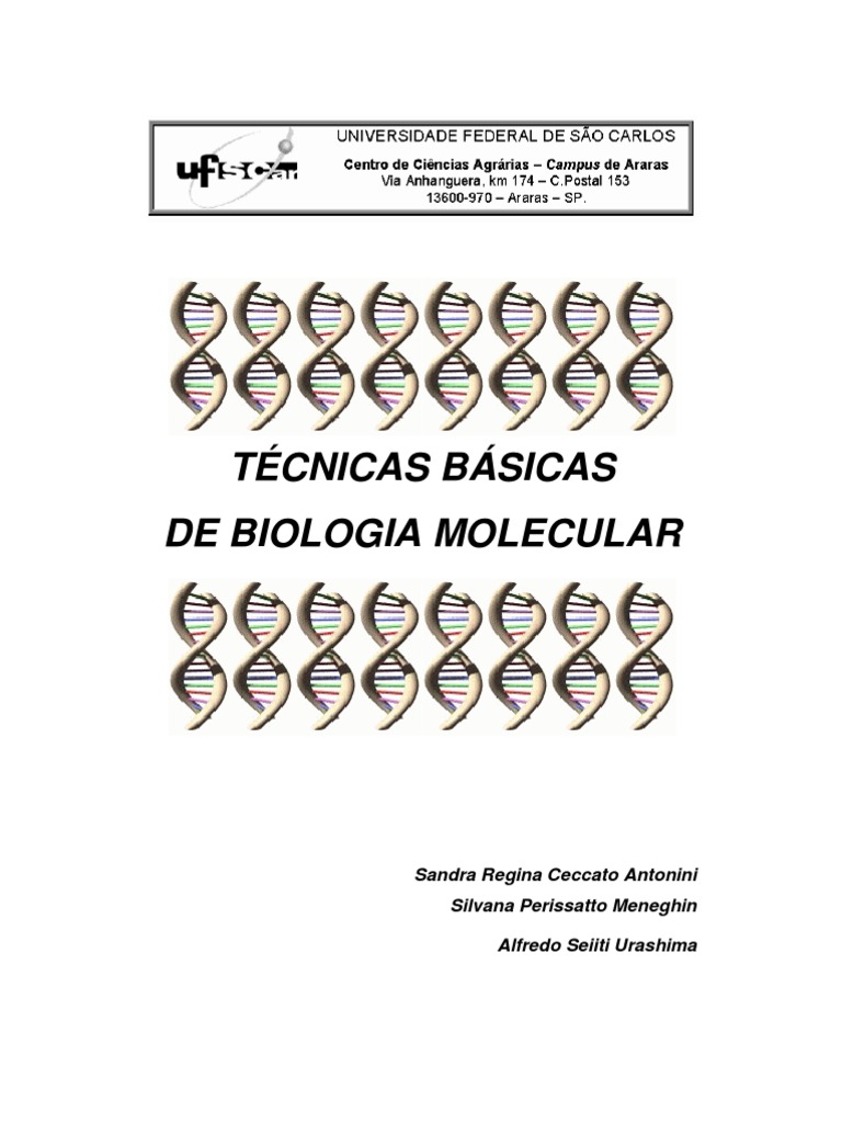 Técnicas Básicas de Biologia Molecular | PDF