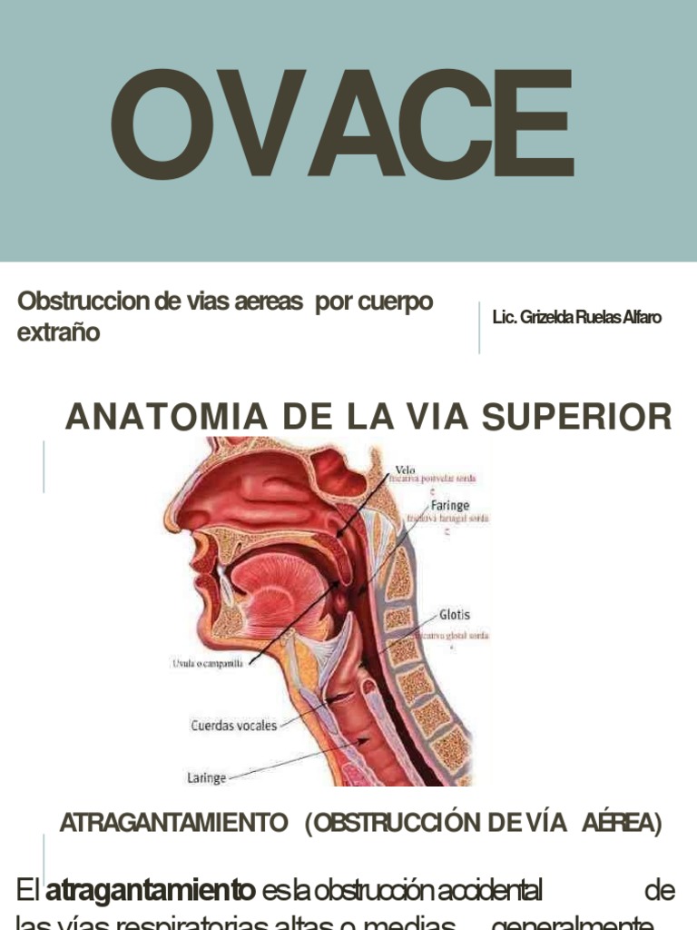 OVACE | PDF | Medicina CLINICA | Especialidades Medicas