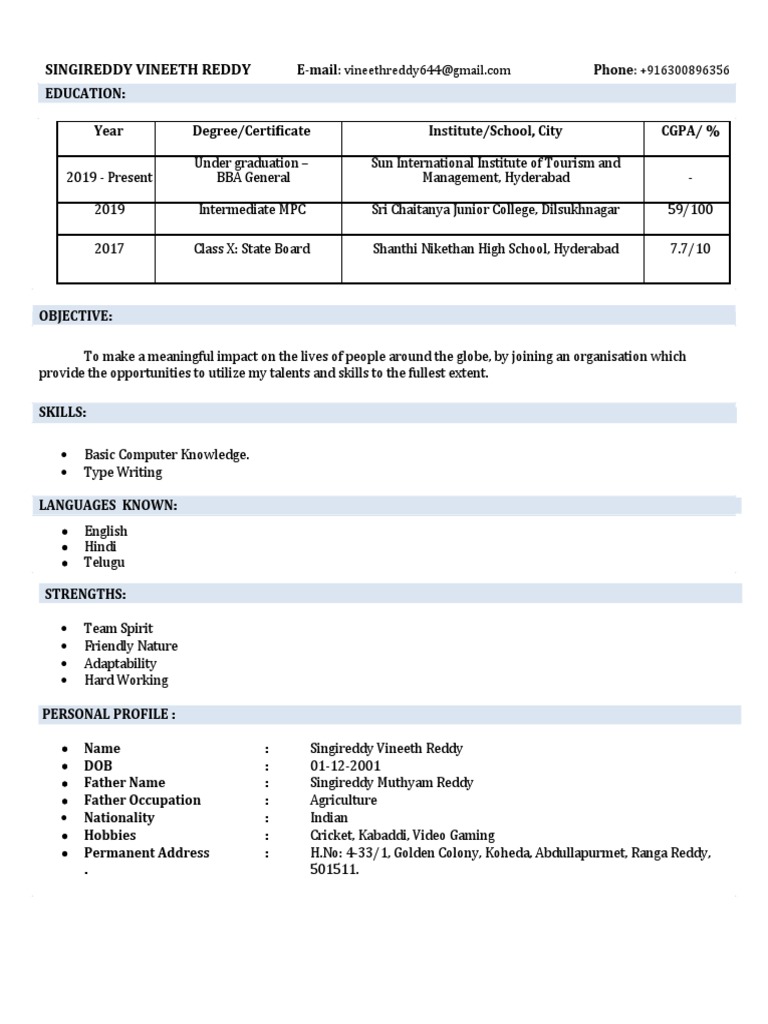 Vineeth Resume | PDF