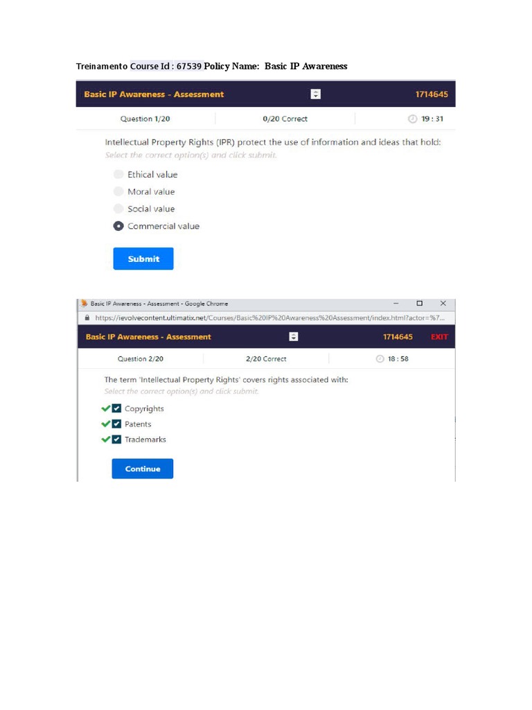 Course Id 67539 Policy Name Basic IP Awareness | PDF