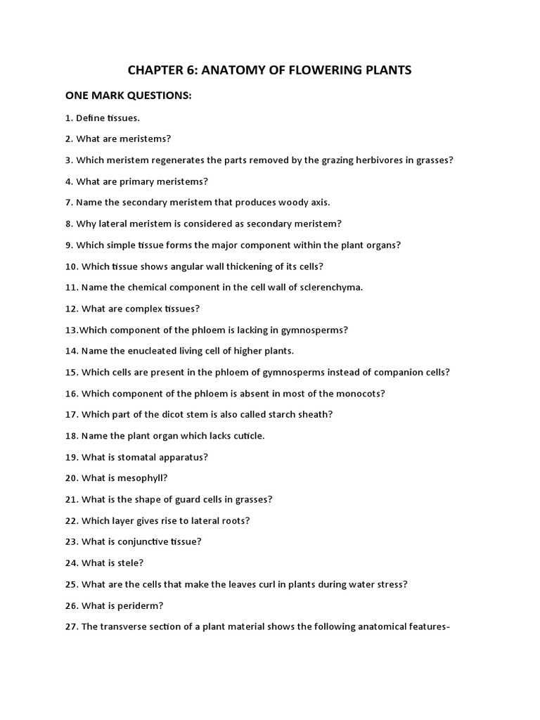Chapter 6: Anatomy of Flowering Plants: One Mark Questions | PDF ...