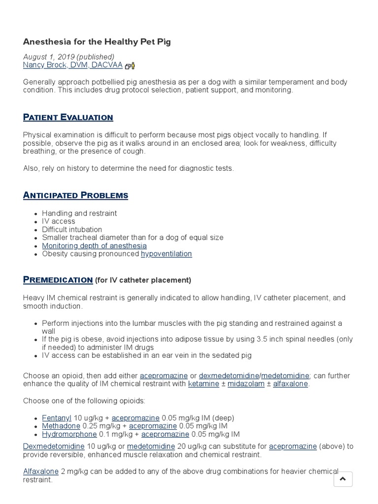 Anesthesia Protocols for Pet Pigs | PDF | Anesthesia | Medical Treatments