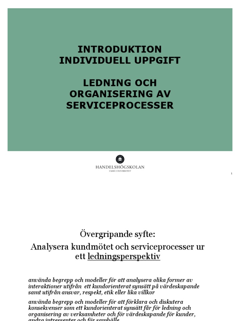 Individuell Uppgift, Ledning Och Organisering Av Serviceprocesser | PDF