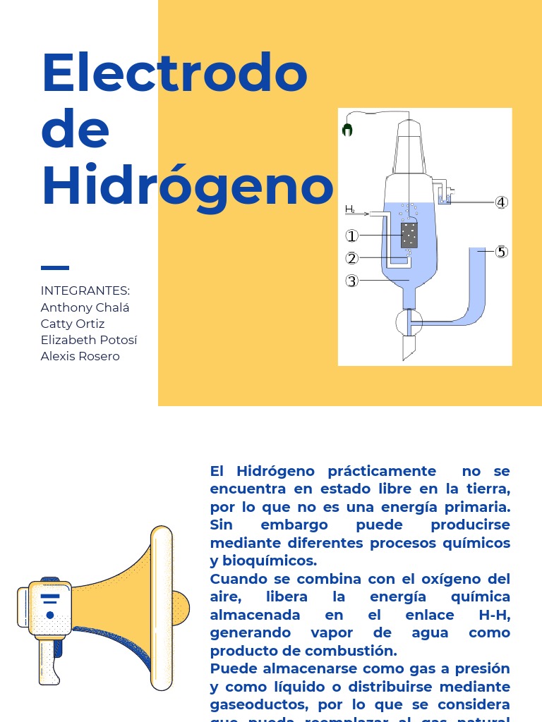 Electrodo de Hidrógeno | PDF | Redox | Hidrógeno