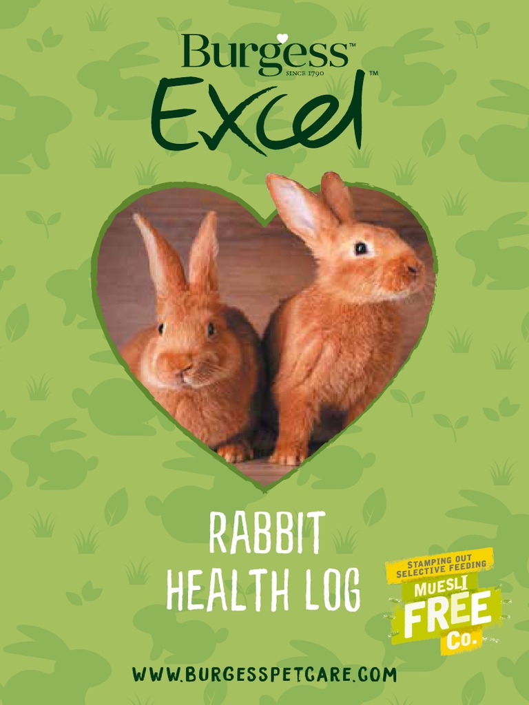 Rabbit Health Log | PDF | Rabbit | Animals And Humans