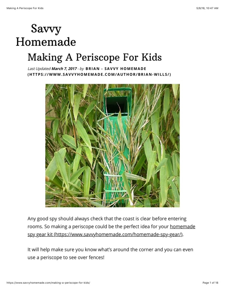 Savvy Homemade: Making A Periscope For Kids | PDF