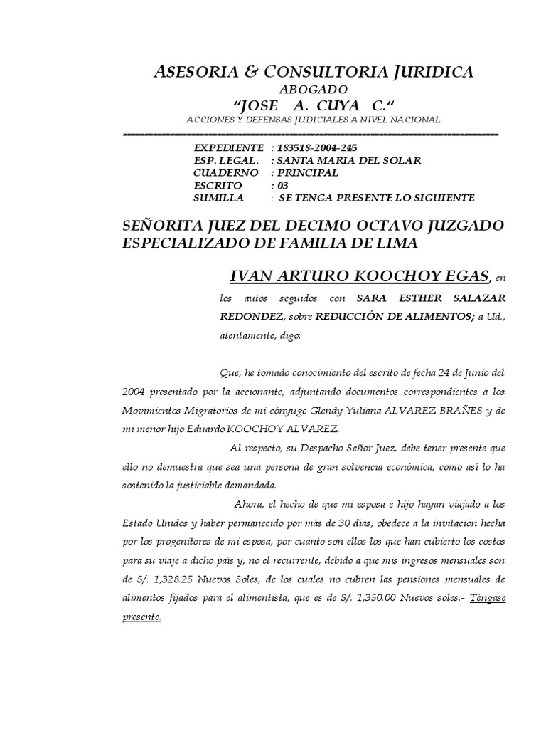 Reduccion Ivan Koochoy | PDF | Pensión alimenticia | Gobierno