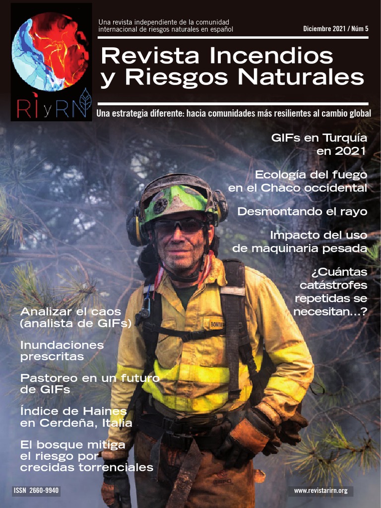 Revista Incendios y Riesgos | PDF | Fuego fatuo | Los bosques