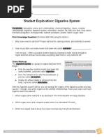 Designing Your Digestive System | PDF | Digestion | Small Intestine