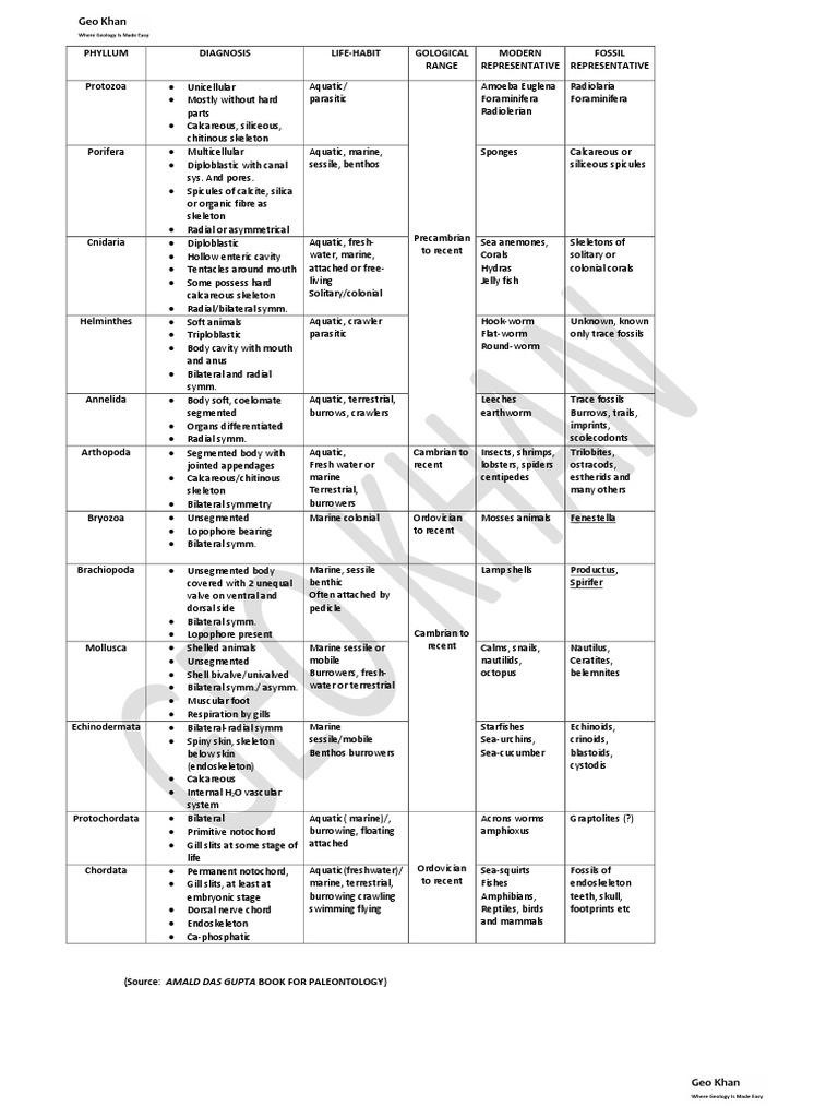 Animal Kingdom Classification Chart | PDF | Organisms | Biology