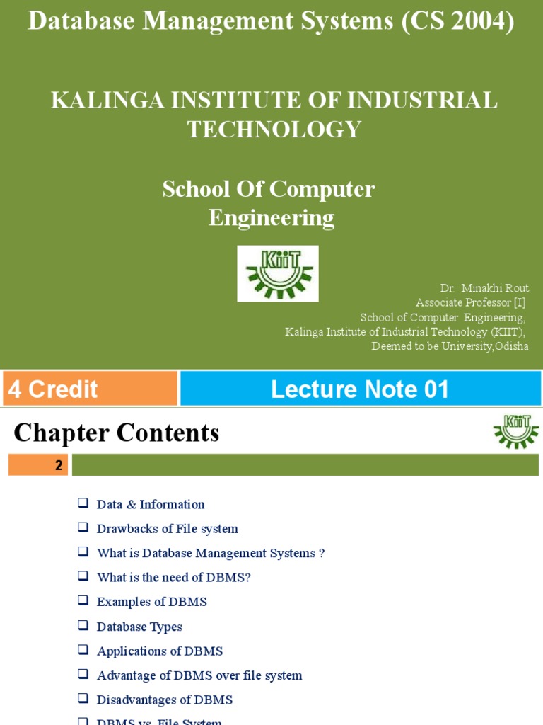 DBMS 1 | PDF | Databases | File System