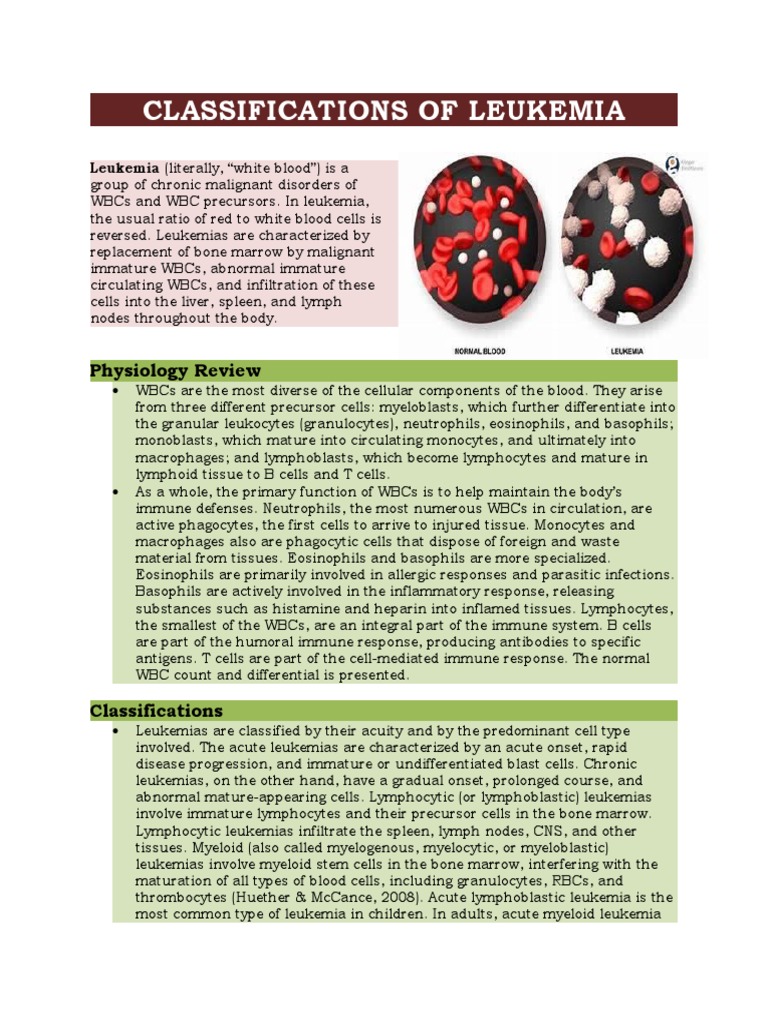 Classifications of Leukemia | PDF | Leukemia | White Blood Cell