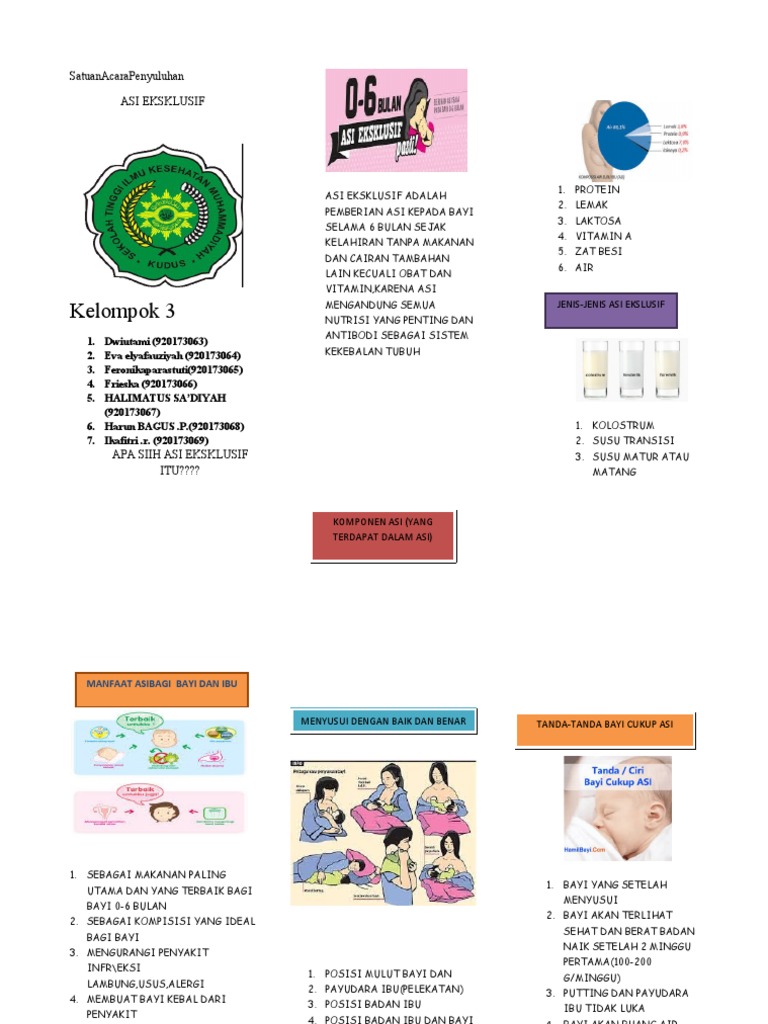 LEAFLET ASI EKSKLUSIF Kel.3 | PDF