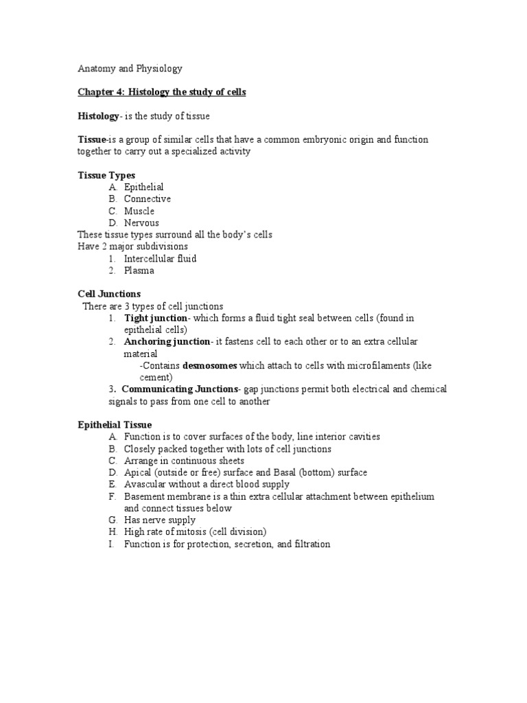 Anatomy and Physiology Exam 2 Notes | PDF | Epithelium | Histology