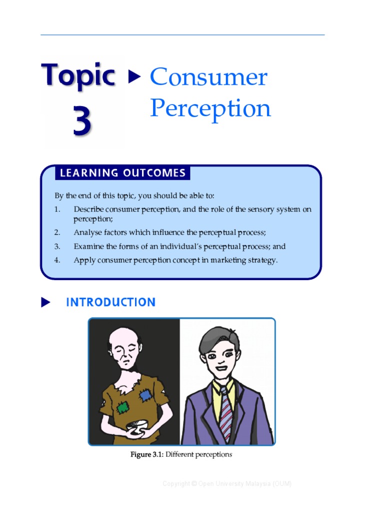 Chapter 3 - Consumer Behaviour 2021 | PDF | Perception | Senses