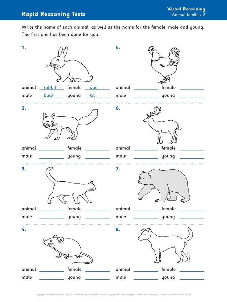 Rabbit Gender and Young Terminology | PDF | Zoology | Mammals