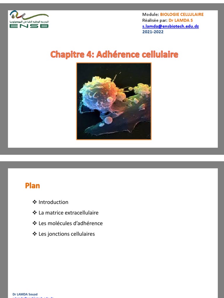 Chapitre 4 Biocell DR LAMDA 2021-2022 | Descargar gratis PDF | Intégrine | Matrice ...