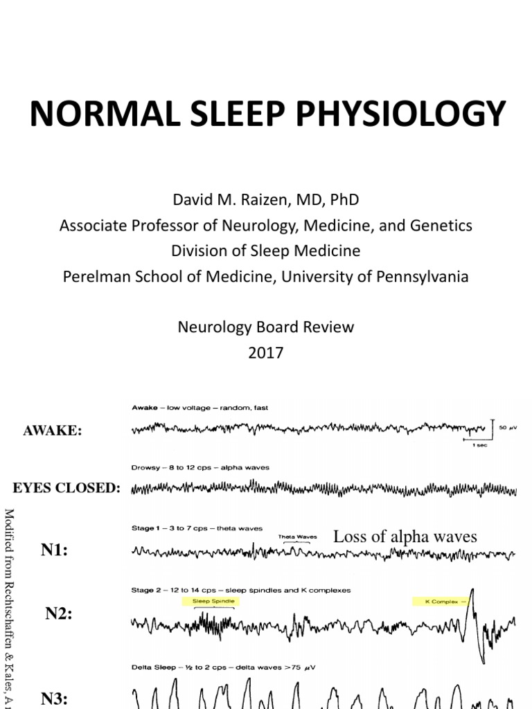 Normal Sleep Physiology Slides | PDF | Sleep | Circadian Rhythm