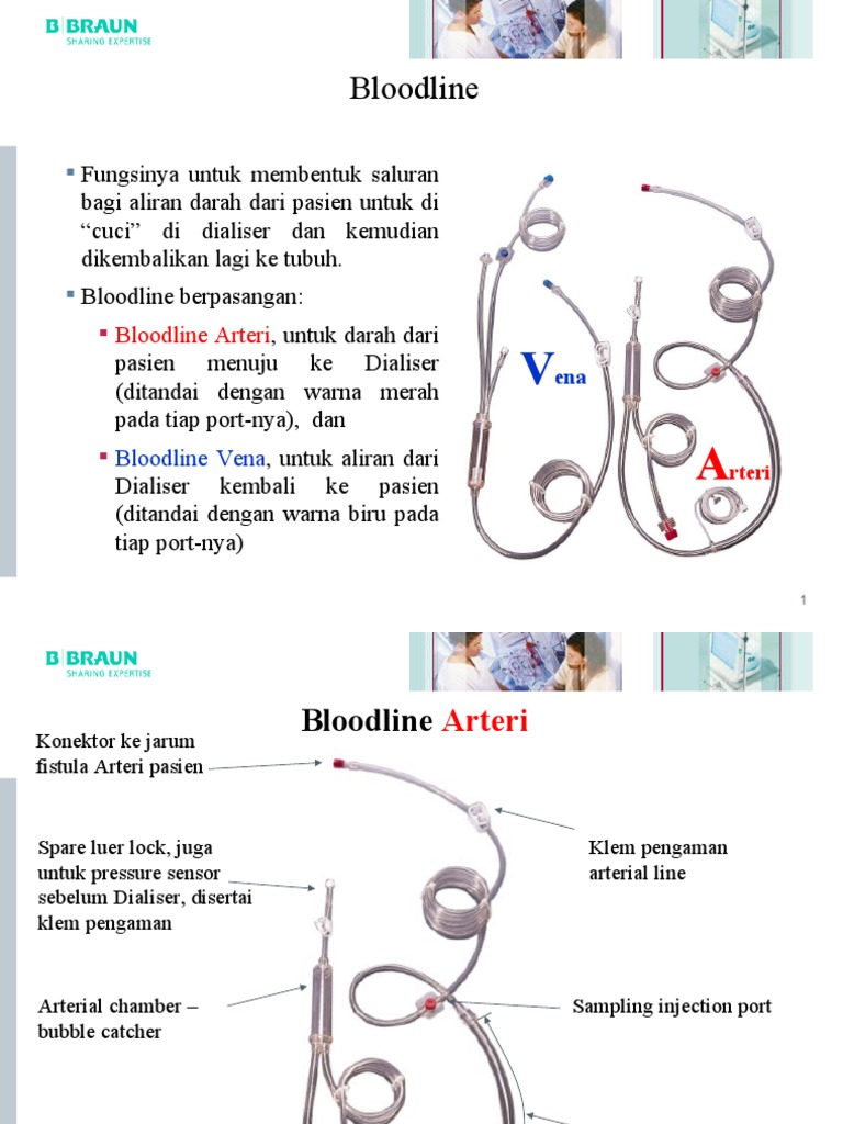 Fungsi dan Komponen Bloodline Hemodialisa | PDF | Sains & Matematika