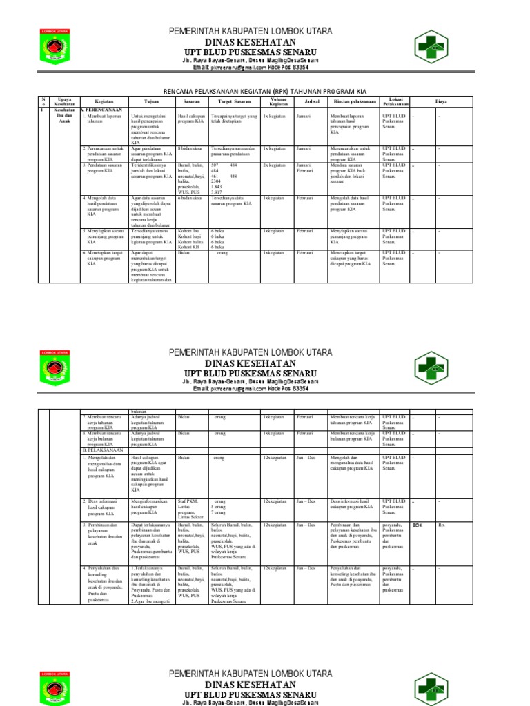 RPKN Program KIA Puskesmas Senaru | PDF