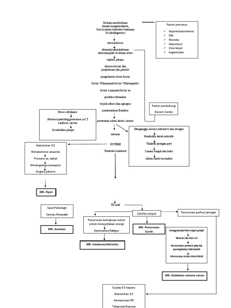 Pathway Nstemi | PDF
