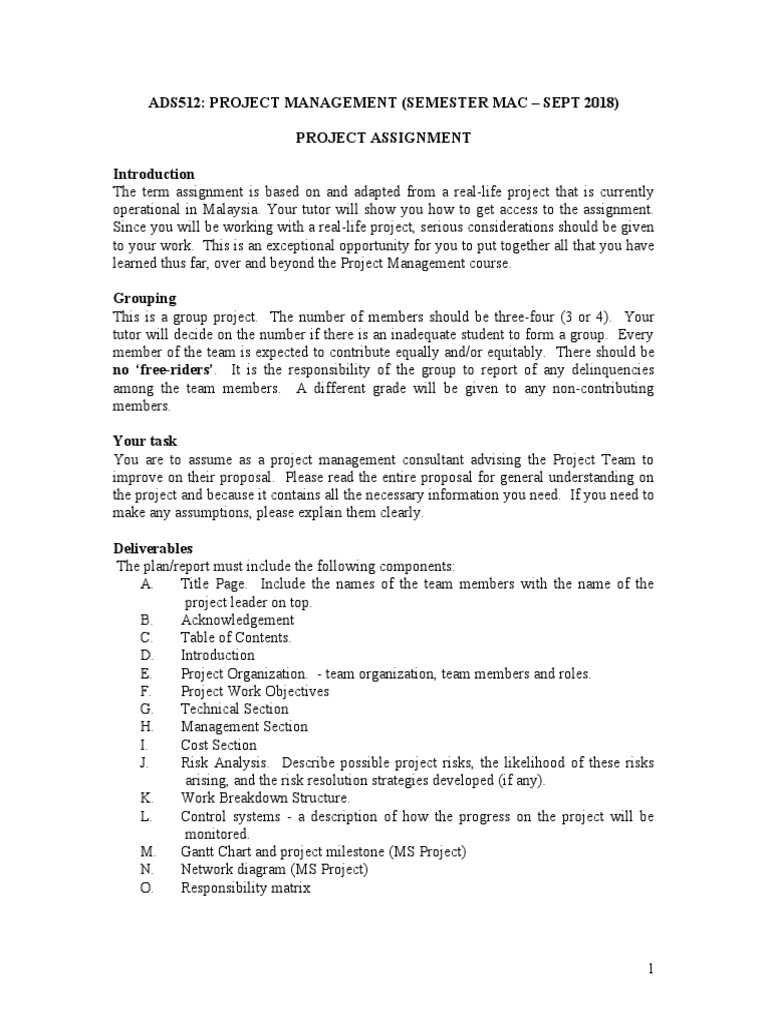 Project Assignment Mac 2018 | PDF | Marketing | Project Management