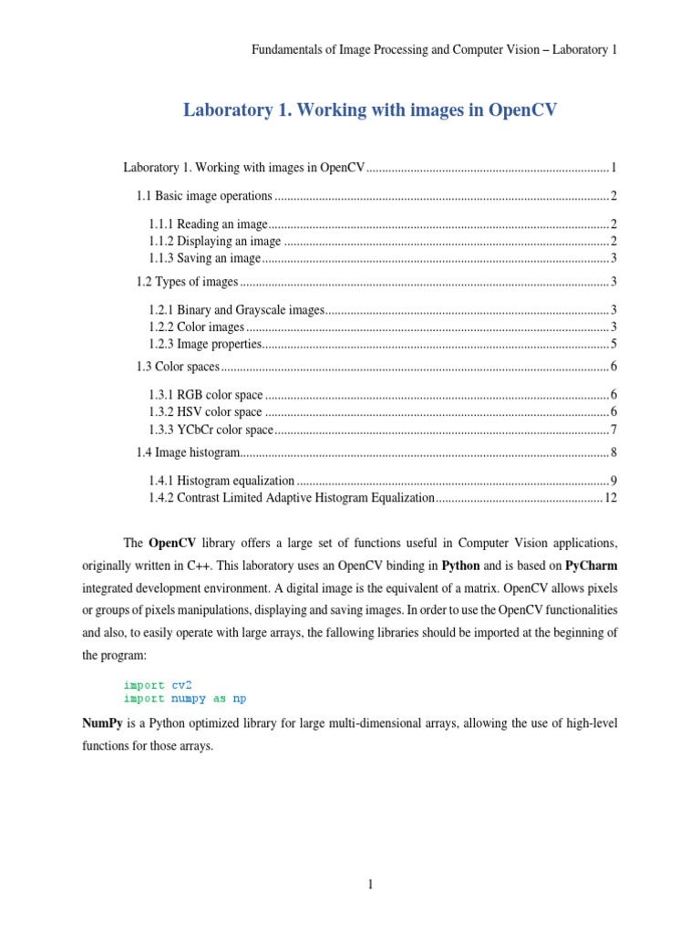 Lab 1 | PDF | Rgb Color Model | Vision
