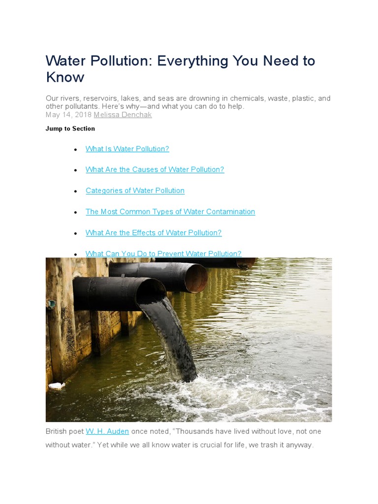 A Comprehensive Overview of Water Pollution: Causes, Effects, and ...