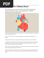 Structure and Function of Human Heart | PDF
