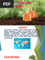 Raiz Axonomorfa | PDF | Raíz | Tallo de la planta