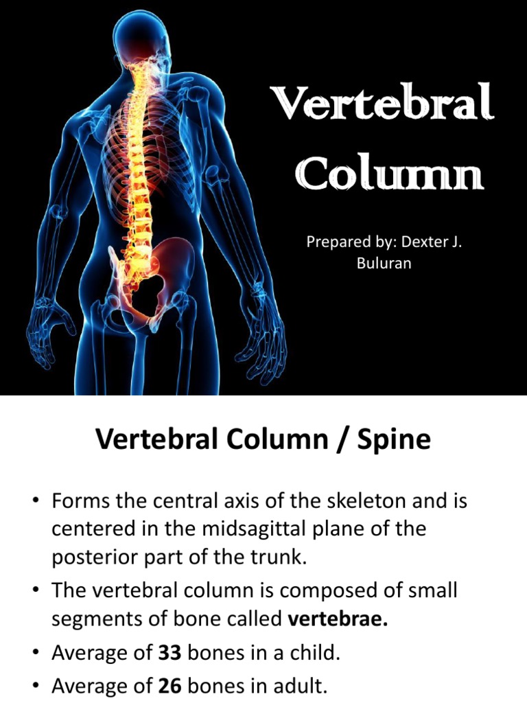 Positioning Presentation-Vertebrae | PDF | Vertebra | Vertebral Column