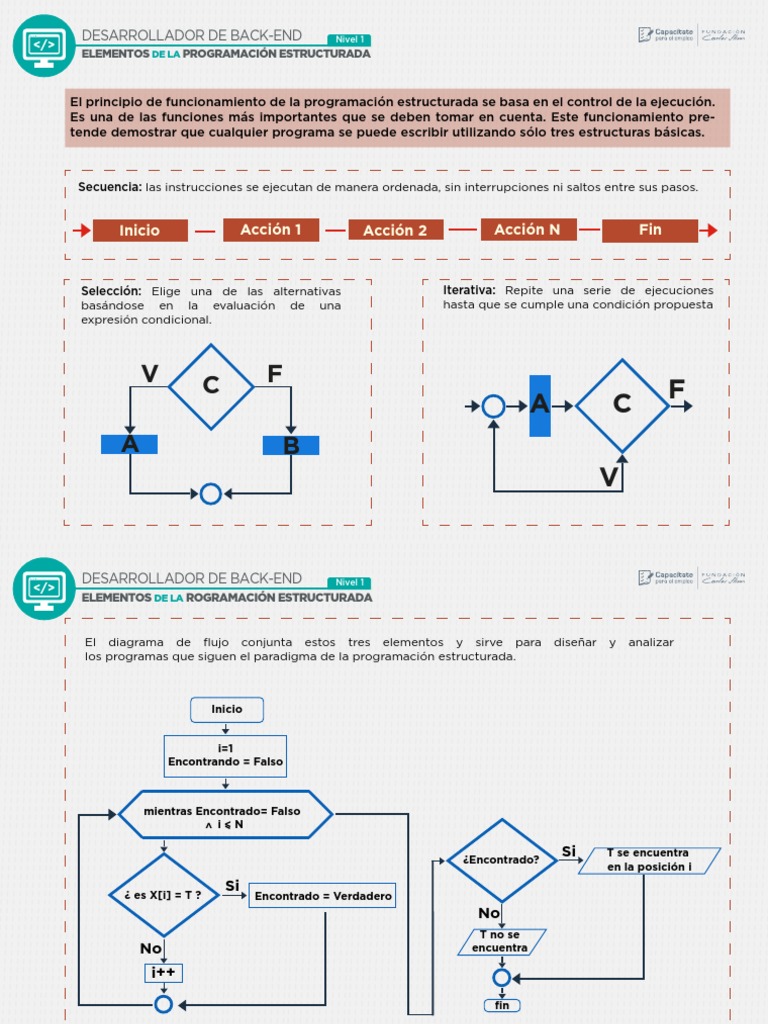 Elementos de Programación Estructurada | PDF